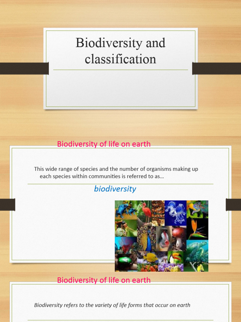 Biodiversity and Classification Updated 2023 | PDF | Cell (Biology ...