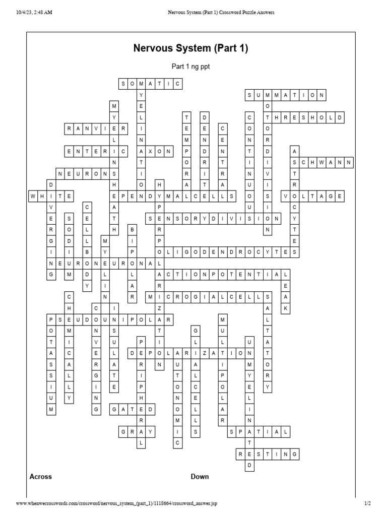 (Answers) Part 1 Nervous System | PDF | Neuron | Myelin
