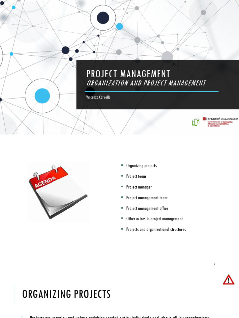 Project Management Team Structure Guide | PDF | Project Management | Business