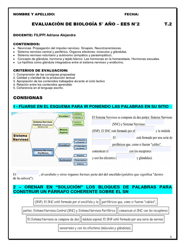 Evaluación de Biología - 5° Año - Ees N°2 - Tema 2 | PDF | Sistema endocrino | Cerebro
