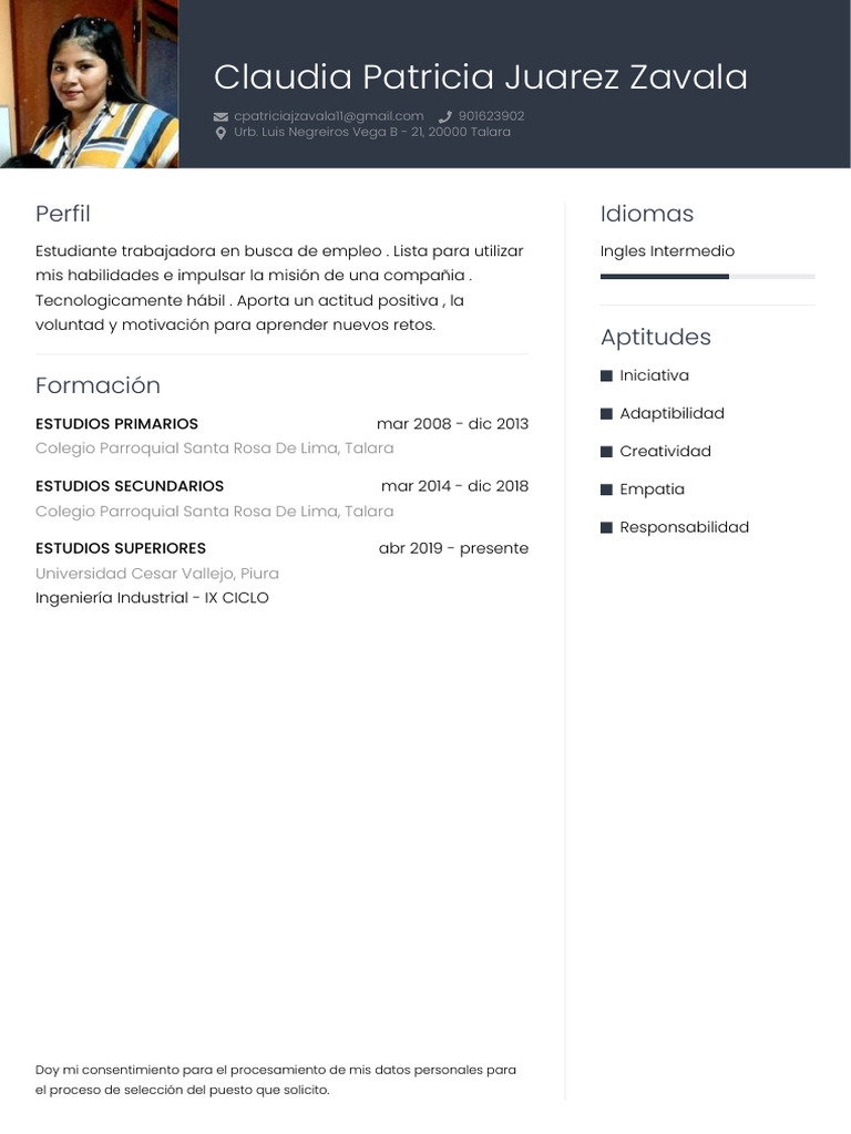 CV Claudia Patricia Juarez Zavala | PDF