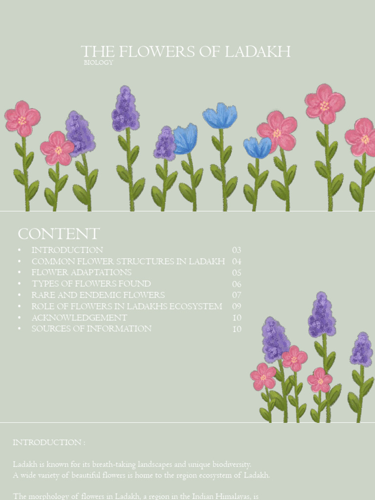Ladakh Flowers | Download Free PDF | Flowers | Pollinators