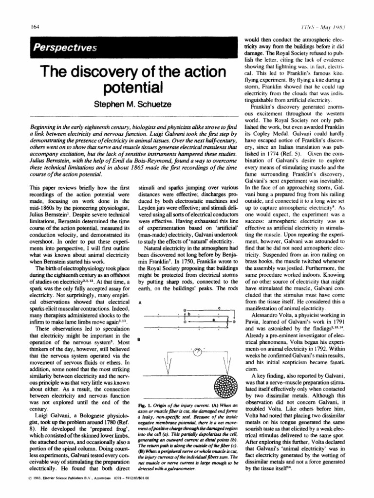 Schuetze Discovery-Action-Potential TINS 1983 | PDF | Electricity ...