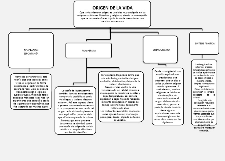 Mapa Conceptual Del Origen de La Vida 2 | PDF | Abiogénesis | Vida