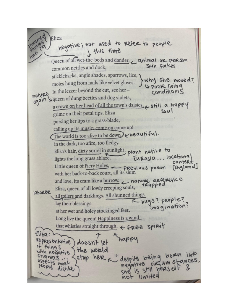 Poem Annotation 1 | PDF