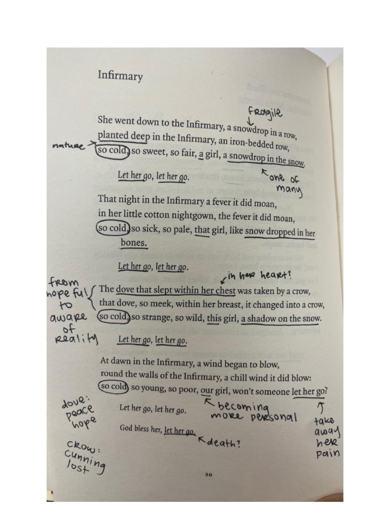 Poem Annotation 2 | PDF
