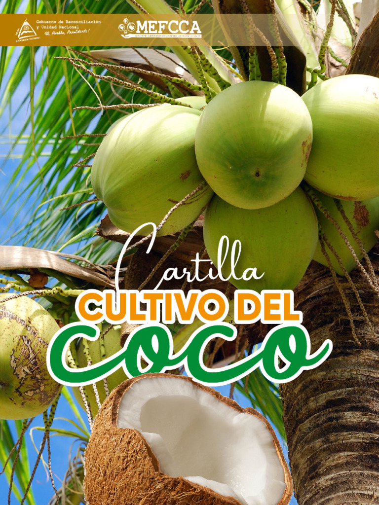 Cultivo Del Coco | PDF | Coco | Agua