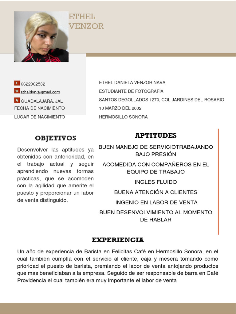 Curriculum Vitae CAFE | PDF