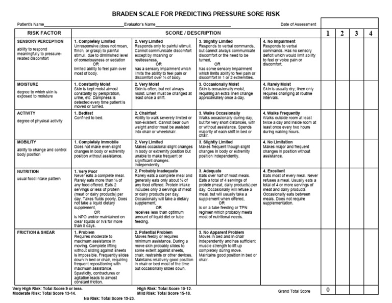 Braden Scale Fillable | PDF | Pain | Meat