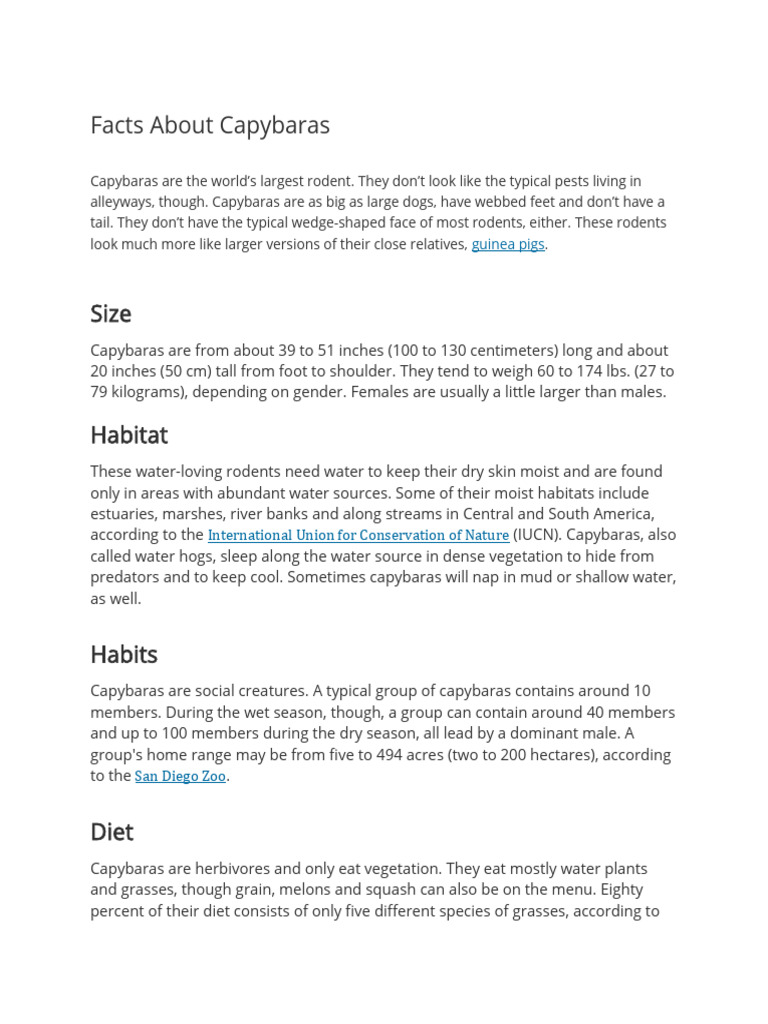 Facts About Capybaras FUN CAPYBARA | PDF | Organisms | Mammals