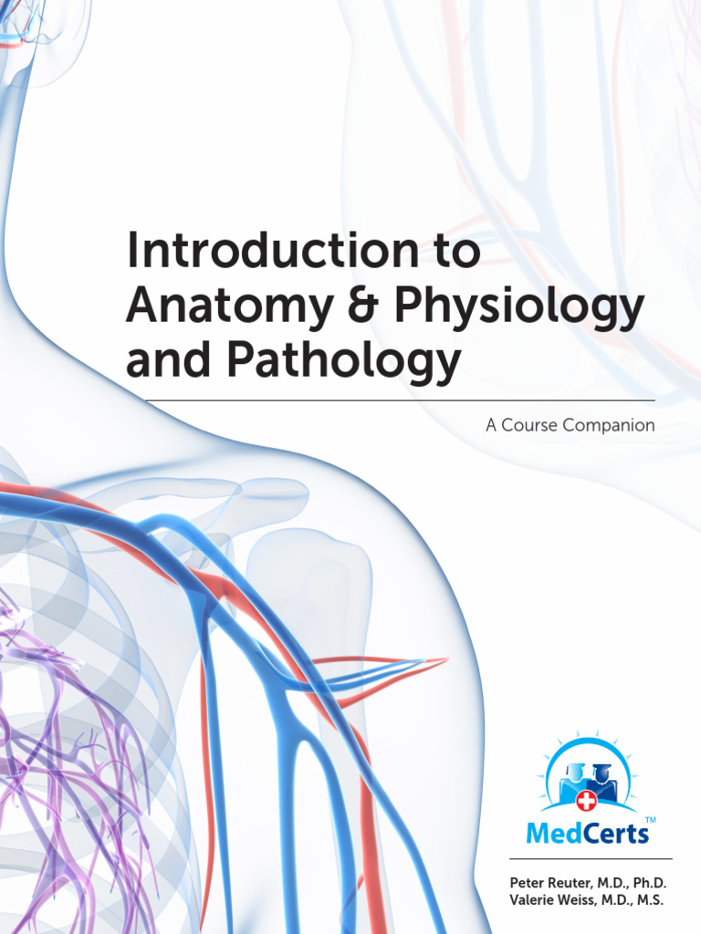 Anatomy, Physiology, and Pathology Overview | PDF | Anatomical Terms Of ...