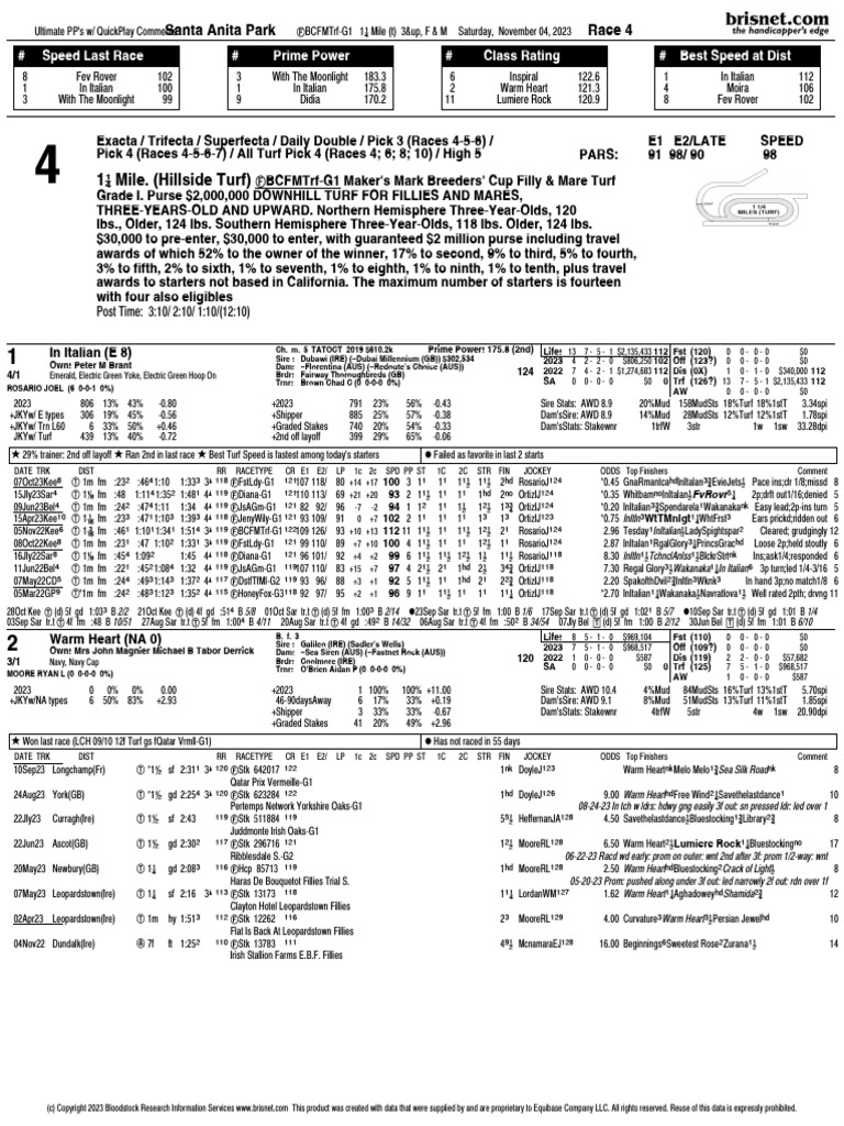 2023 Breeders Cup Filly & Mare Turf | PDF | Horse Racing | Equestrian ...