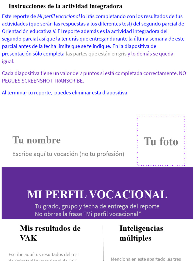 Template Perfil Vocacional | PDF