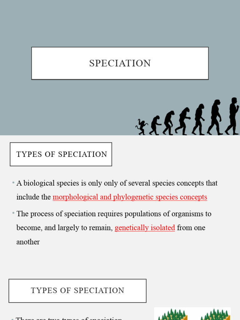 Speciation SBI3U 2022 | PDF | Evolution | Species