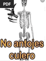 Memes y Gifs de "Nah Creo" | PDF