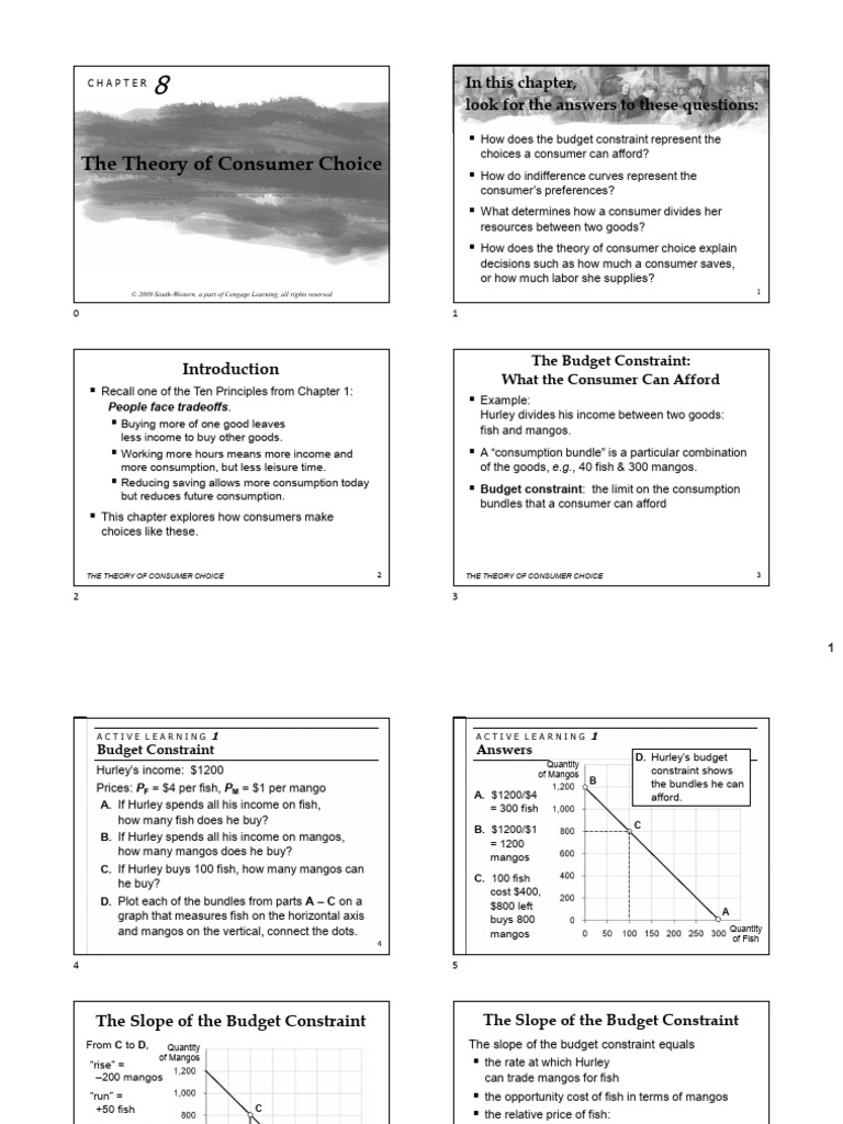 Chapter 08 The Theory of Consumer Choice | PDF | Consumers | Business ...