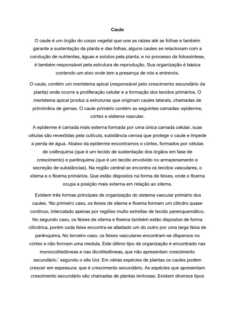 Funções e Estrutura do Caule Vegetal | PDF