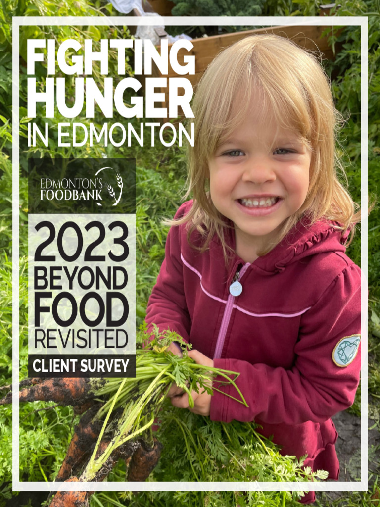 Beyond Food Revisited Survey 2023 | PDF | Cost Of Living | Food Bank