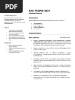 Big 4 CV Template Guide | PDF