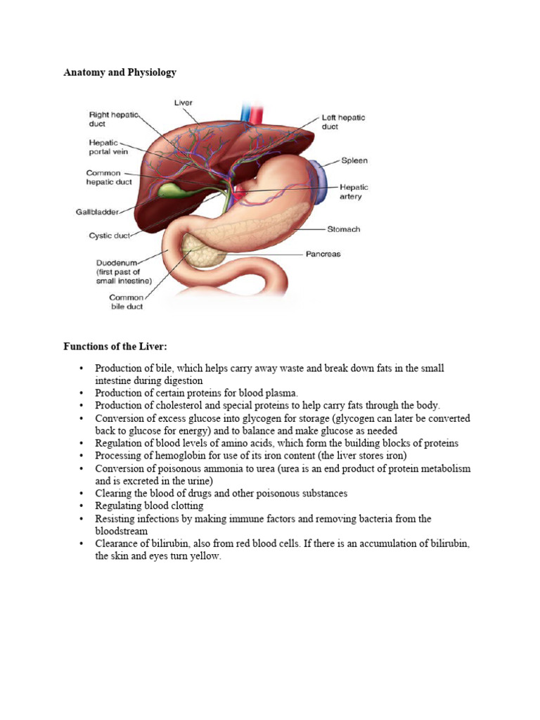 Hepatitis - Case Study | PDF | Liver | Bile