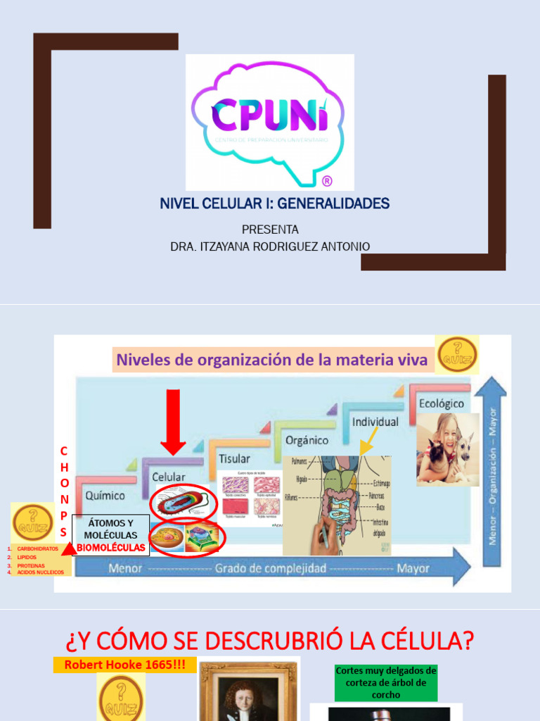 Nivel Celular | PDF | Biología Celular) | Membrana celular