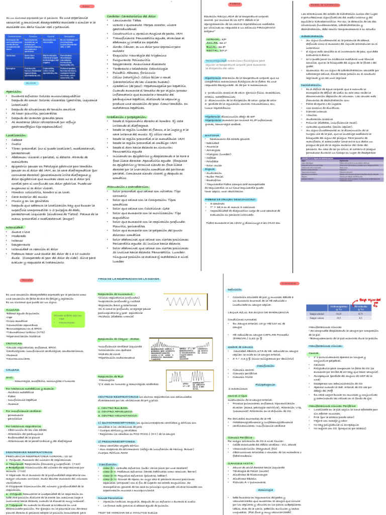 Resumen Jess FINAL | PDF | Sistema respiratorio | Medicina CLINICA
