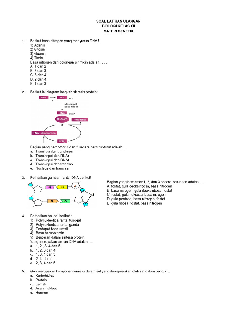 Soal Latihan Materi Genetik | PDF