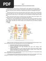 LKPD SISTEM RANGKA MANUSIA | PDF