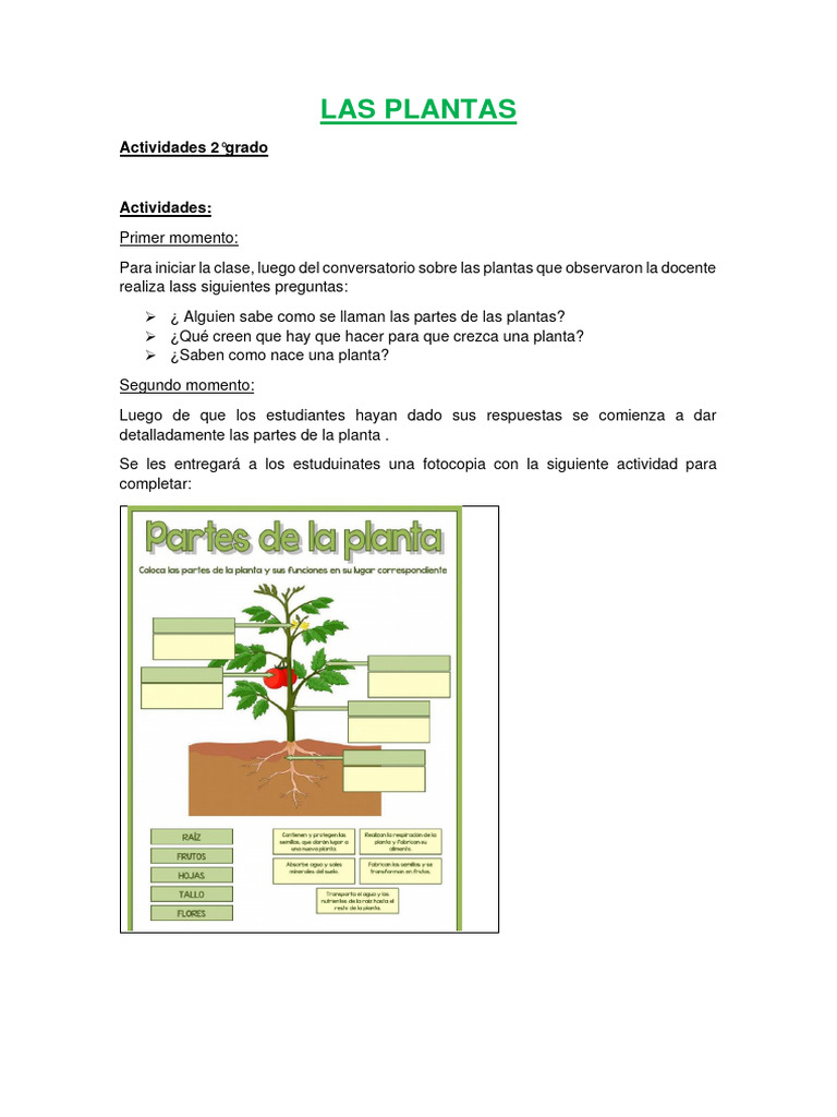 Ciencias Naturales 2 Grado Las Plantas | PDF