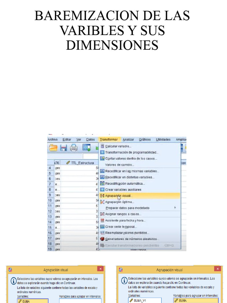 Baremizacion de Las Varibles y Sus Dimensiones G4 | PDF