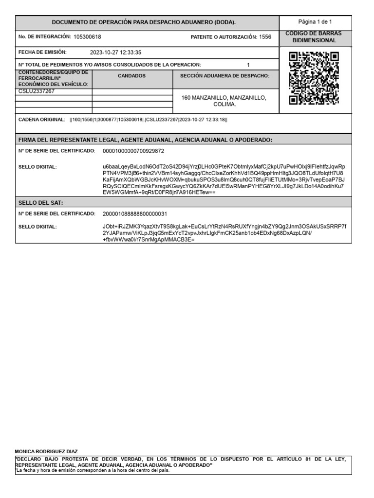 Documento DODA para Despacho Aduanero | PDF | Tecnología
