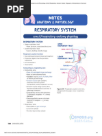 Female Reproductive System Notes - Diagrams & Illustrations - Osmosis ...