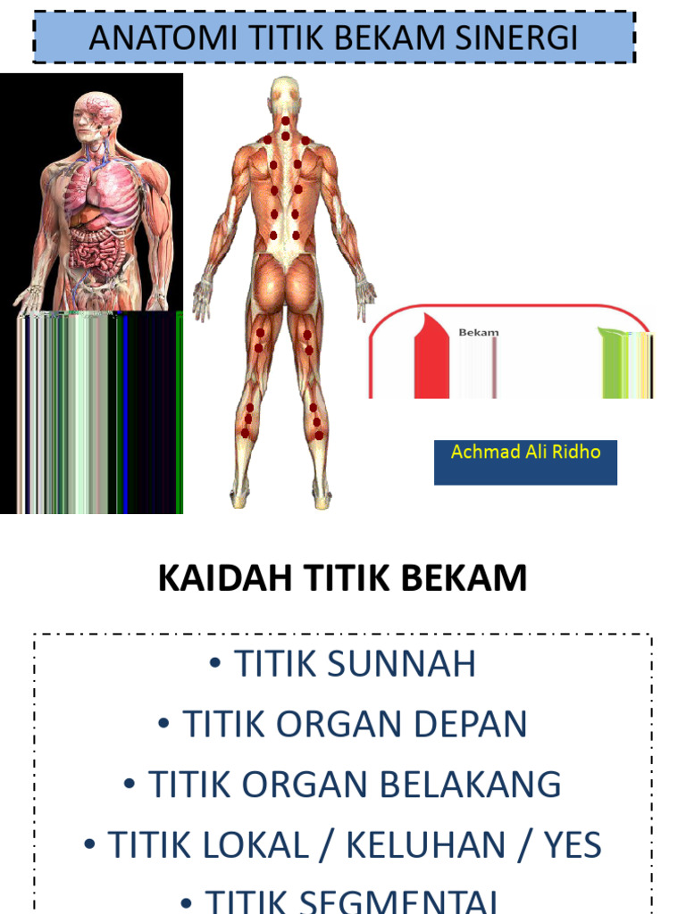 Anatomi Titik Bekam Sinergi | PDF