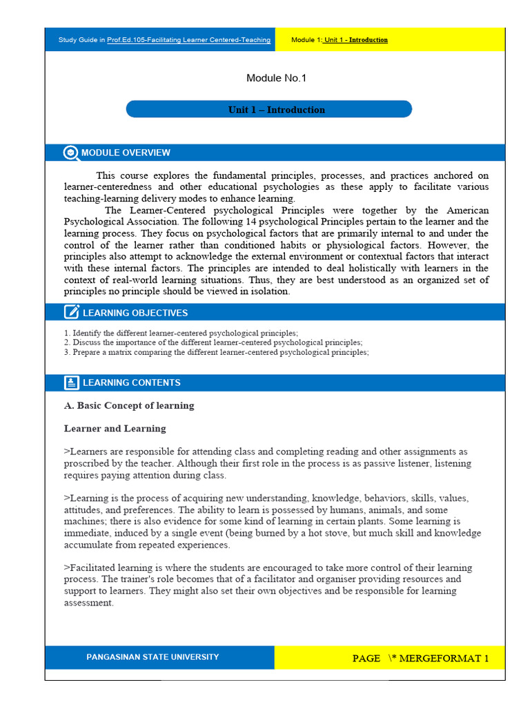 SG1 Learner Centered Psychological Principles | PDF | Learning | Motivational