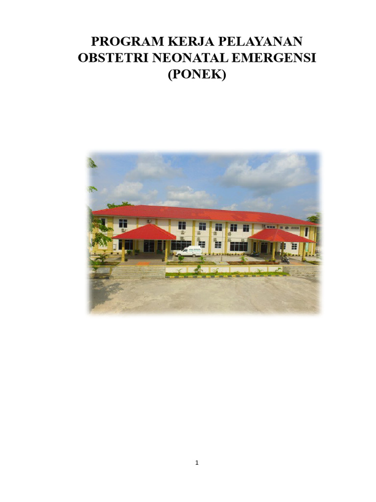 PROGRAM - PONEK - RSUD - TG - BATU (1) Edit | PDF