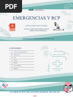 Choque Obstructivo | PDF | Fisiología | Angiología