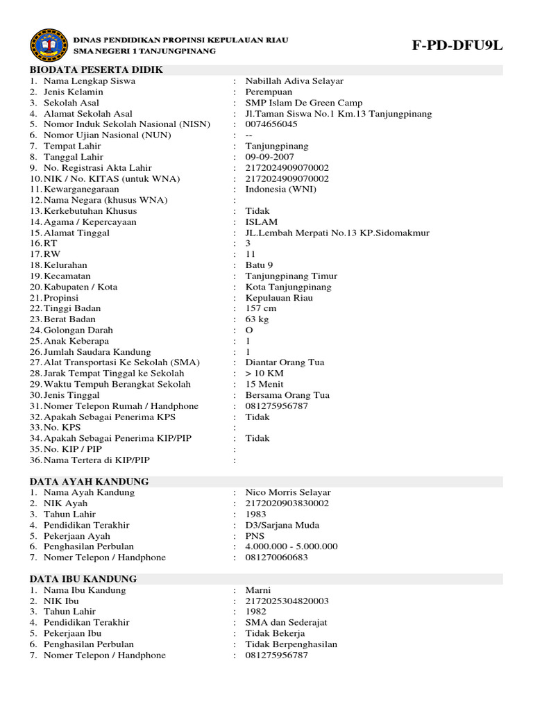 Biodata Nabillah Adiva Selayar DFU9L | PDF