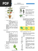 Leaf Adaptations for Photosynthesis | PDF | Leaf | Stoma