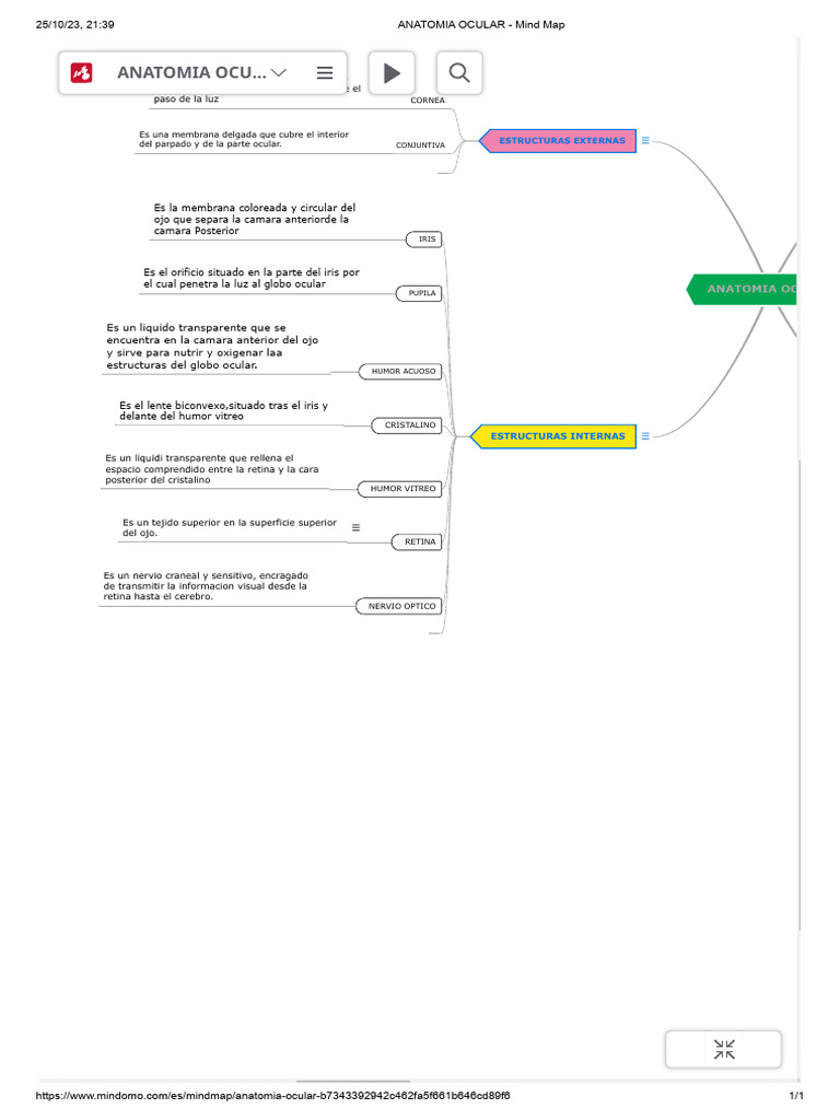 ANATOMIA OCULAR - Mind Map | Descargar gratis PDF | Ojo humano | Ligero
