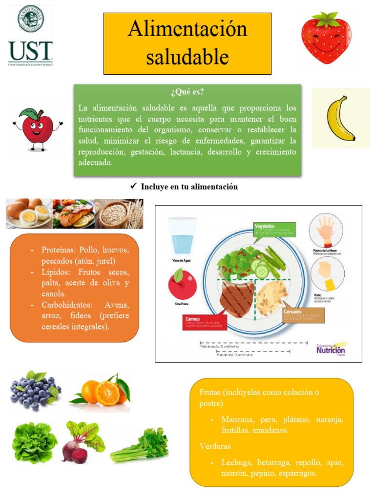 Alimentación Saludable | PDF | Salud y bienestar
