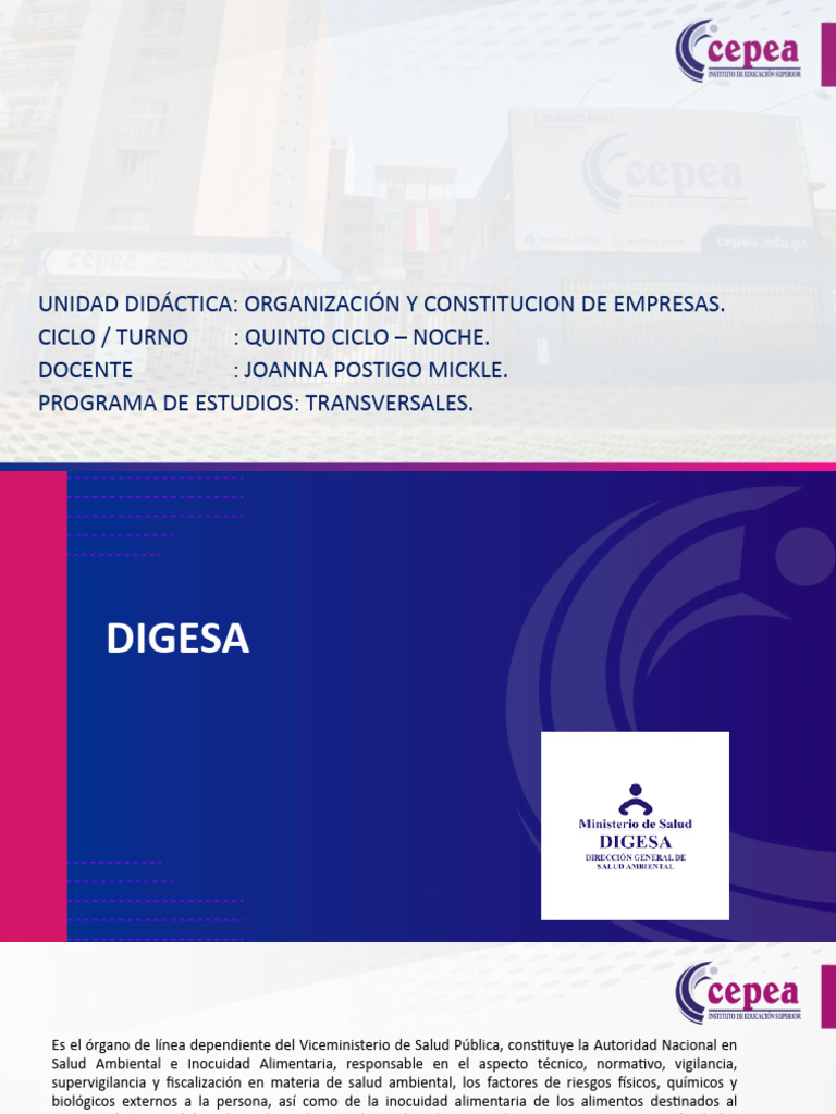 Organización y Constitución de Empresas | PDF | Salud Ambiental ...