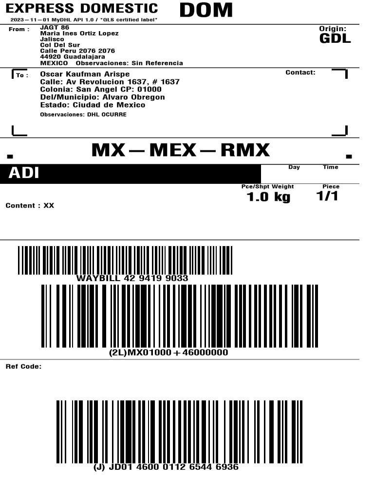 DHL Express Domestic Waybill Example | PDF