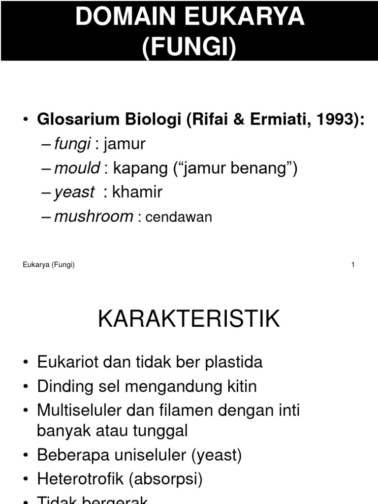 Domain Eukarya Fungi | PDF | Sains & Matematika