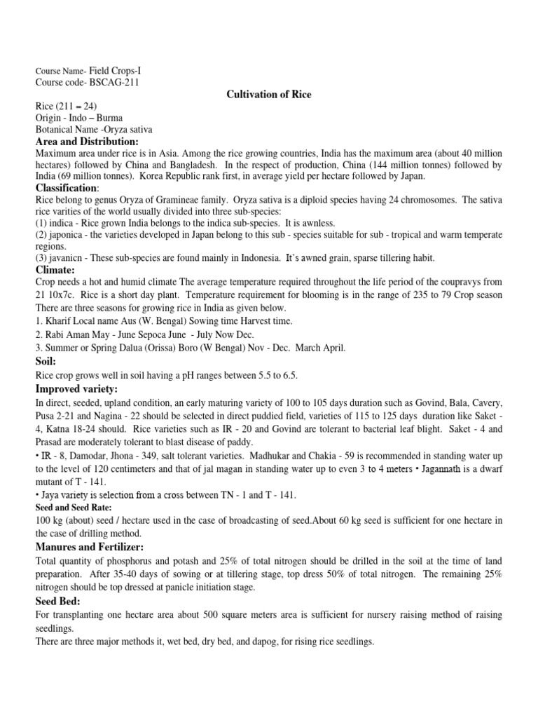 Cultivation of Rice Crop | PDF | Rice | Agriculture