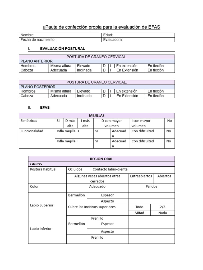 Pauta de Confección Propia Para La Evaluación de EFAS | PDF