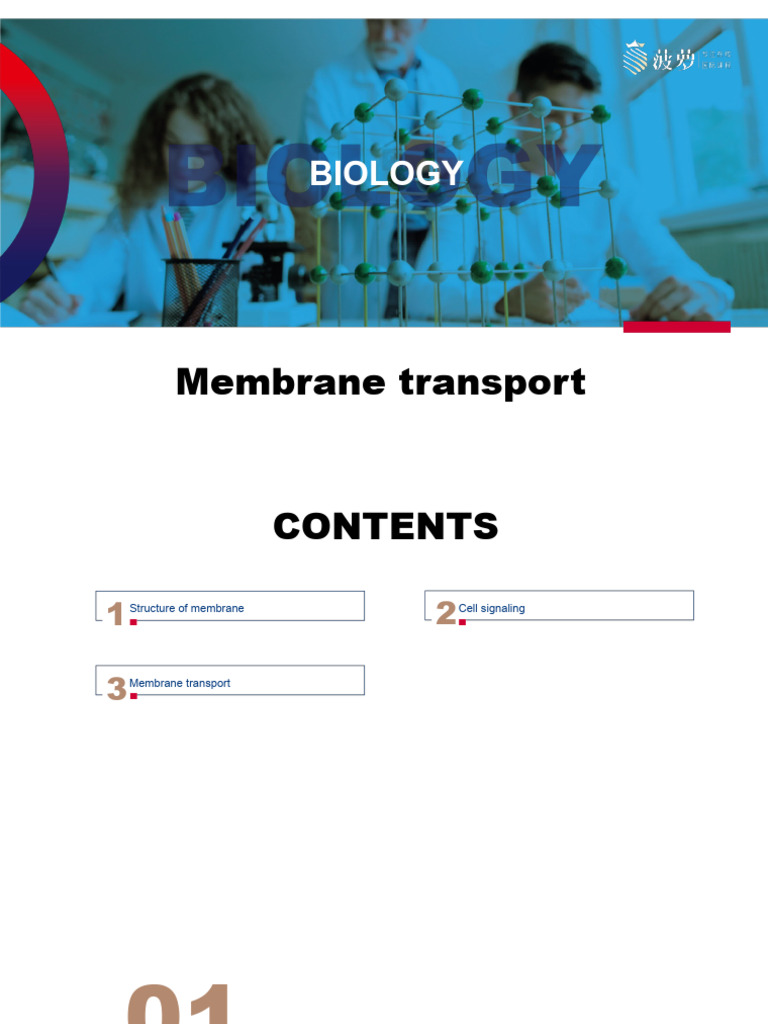 4. Membrane Transport | PDF