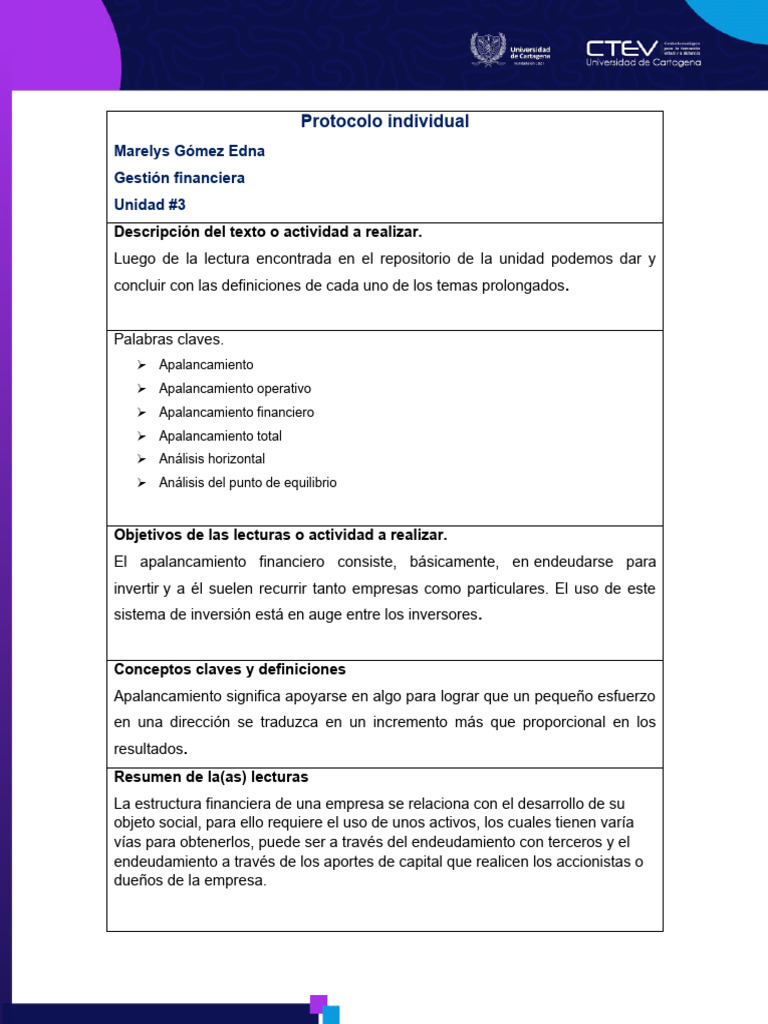 Protocolo Individual 3 Gestión Financiera | PDF | Apalancamiento (Finanzas) | Business