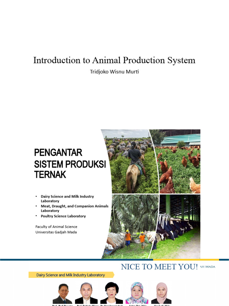 Introduction To Anim Prod - Tutorial | PDF