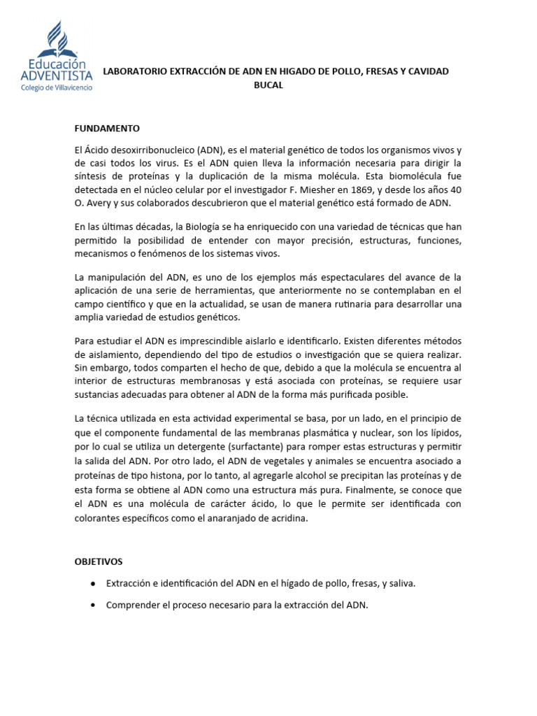 2706888 | PDF | Adn | Proteínas