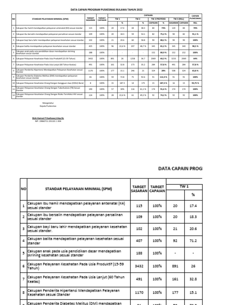 Data SPM Sampai Desember 2022 PKM Bulawa | PDF